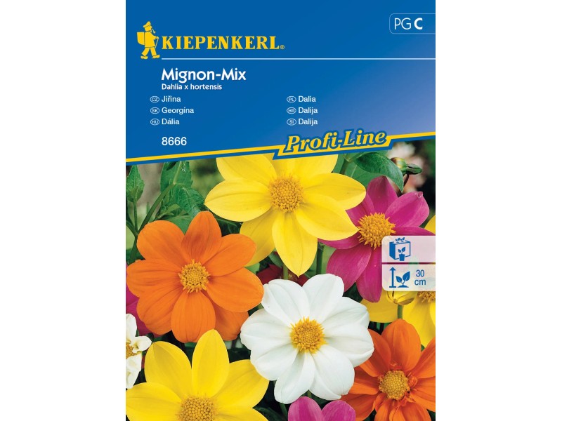 Kiepenkerl Semienka Georgína Migno mix nakúpiť v OBI