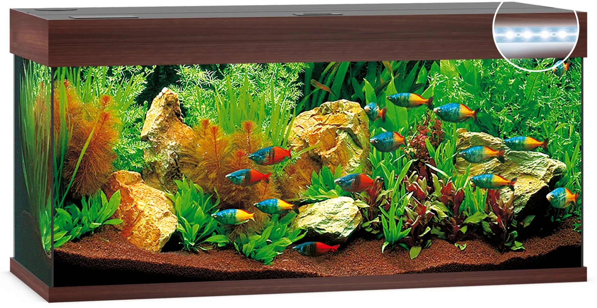 Juwel Aquarium Akvarijný set Rio LED, tmavo hnedý, 180 l, 101 x 41 x 50 ...
