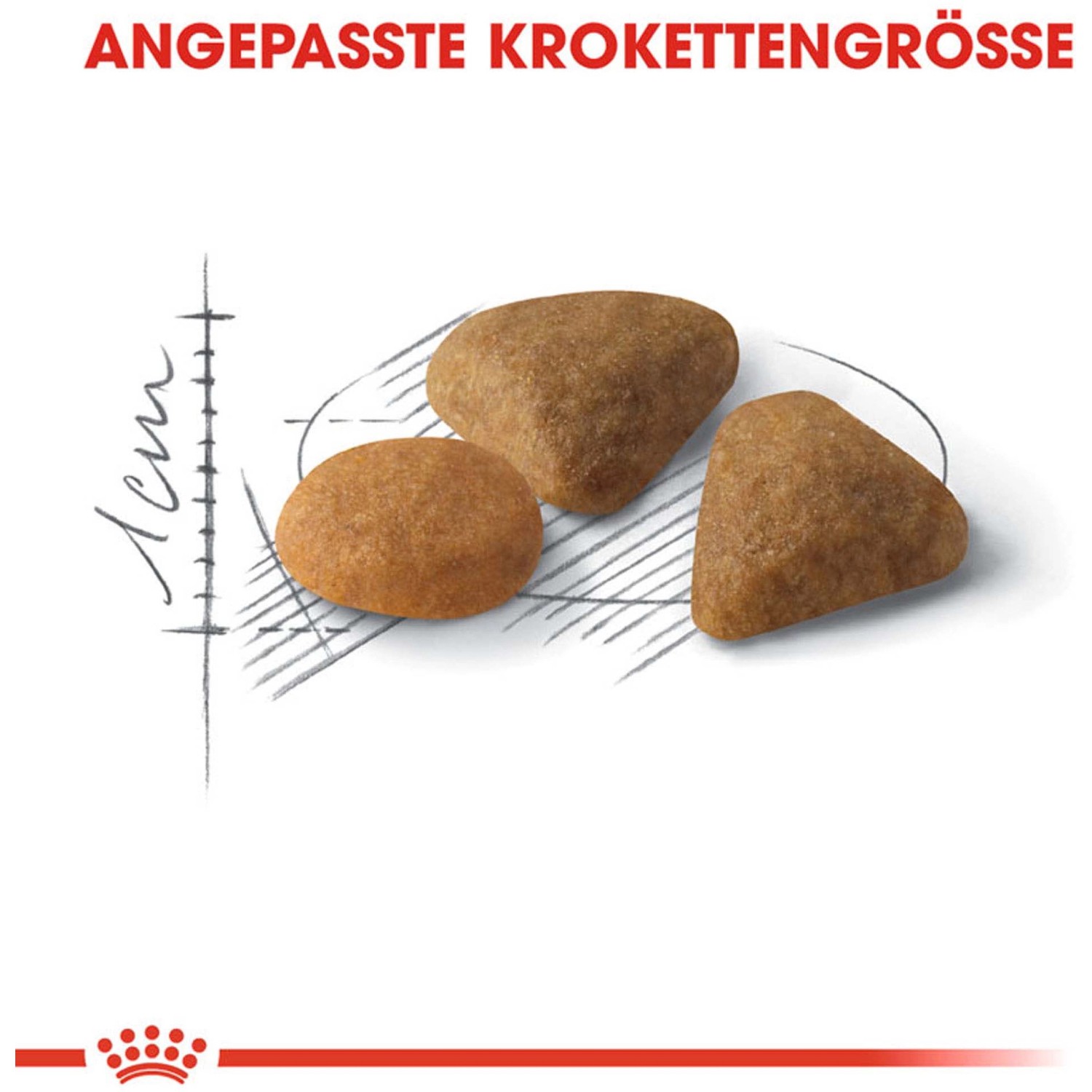 Royal Canin Granule pre mačky Savour Exigent 2 kg nakúpiť v OBI