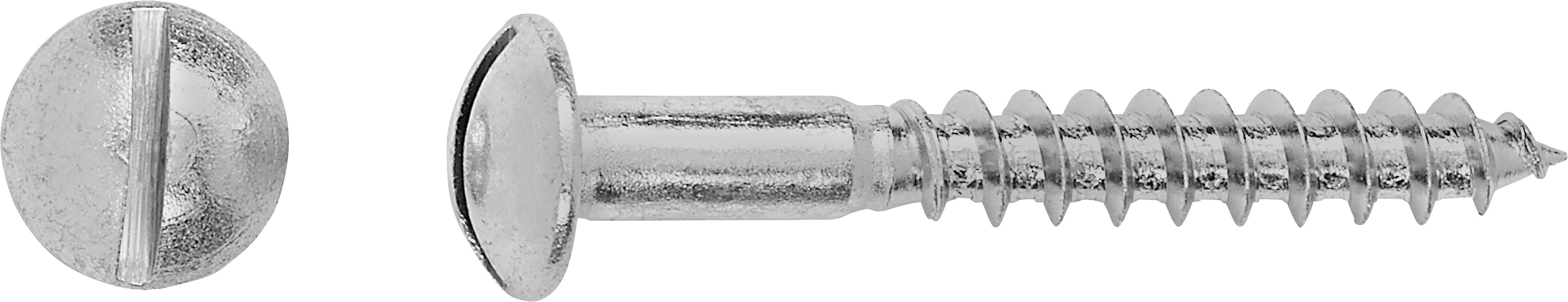 Skrutka do dreva s polguľatou hlavou PZ bielo pozinkovaná 5 x 25 mm, 20 ks nakúpiť v OBI