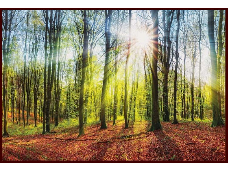 Bondecor Obraz Putframe Sun 50 x 70 cm nakúpiť v OBI