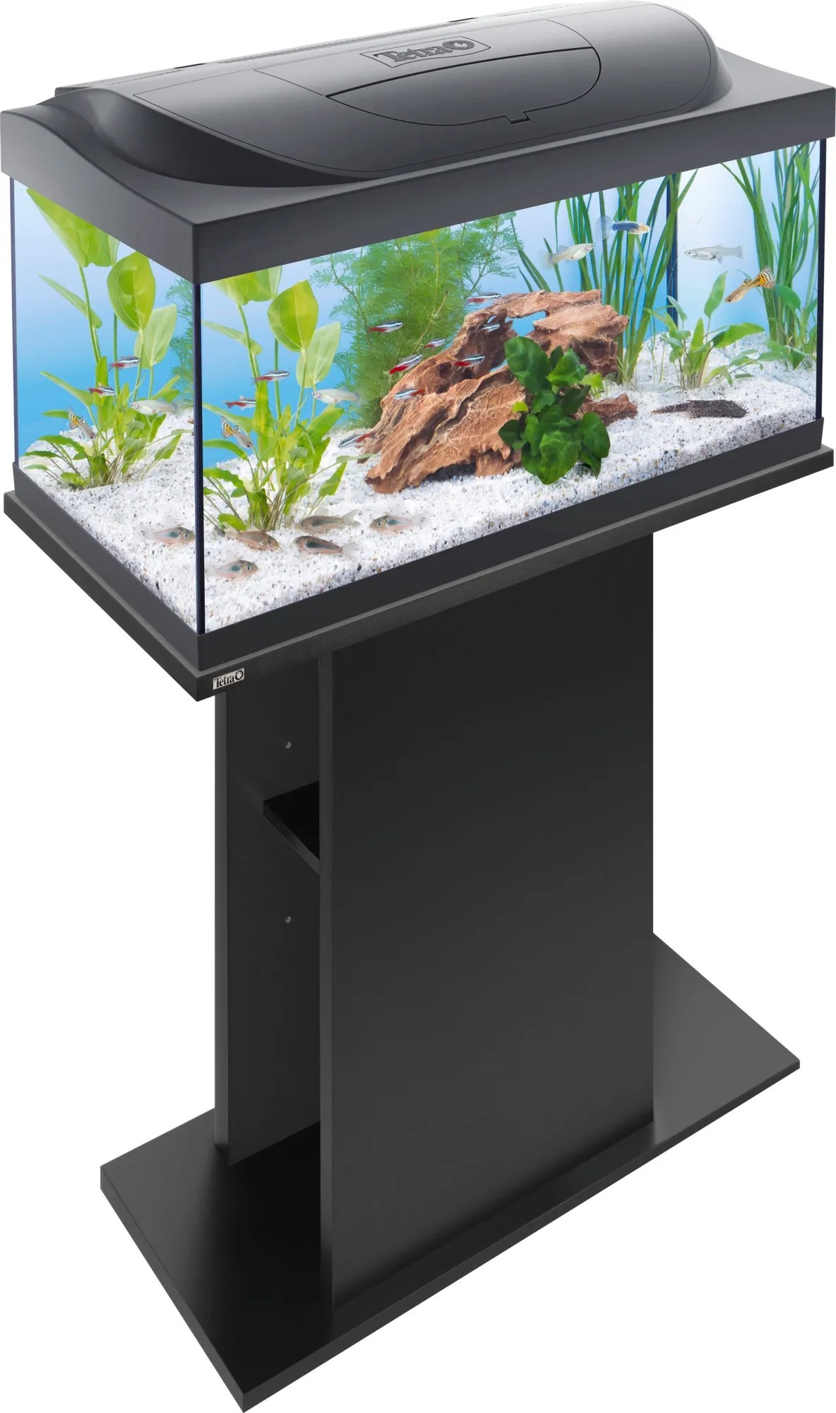 Tetra Kompletné akvárium Starter Line 54 l, 61 x 36 x 32 cm nakúpiť v OBI