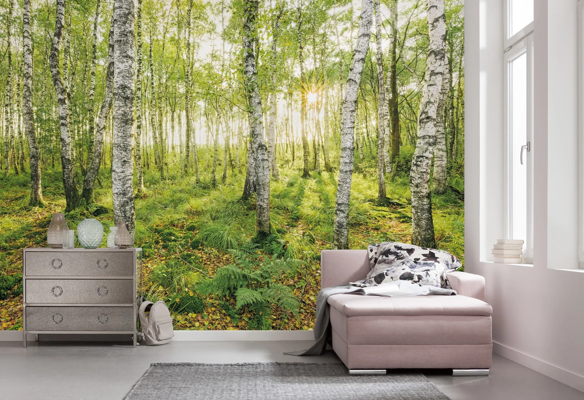 Komar Vliesová fototapeta Birch Trees 400 x 250 cm