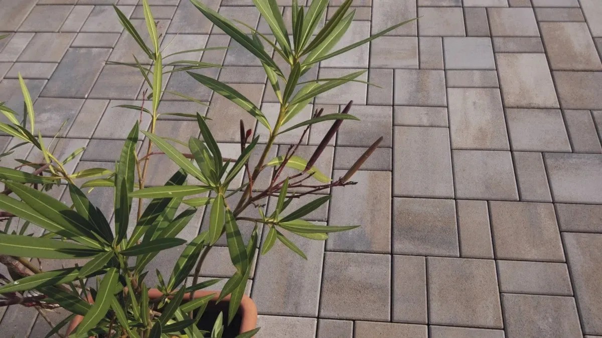 Semmelrock Dlažba Rettango Kombi sivo-hnedo-grafitová melírovaná 1,08 ...