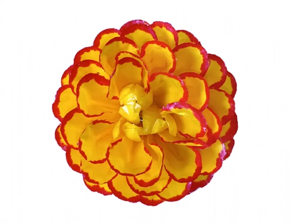 Kvet voskový - georgína, žlto-červená, pr. 8 cm nakúpiť v OBI