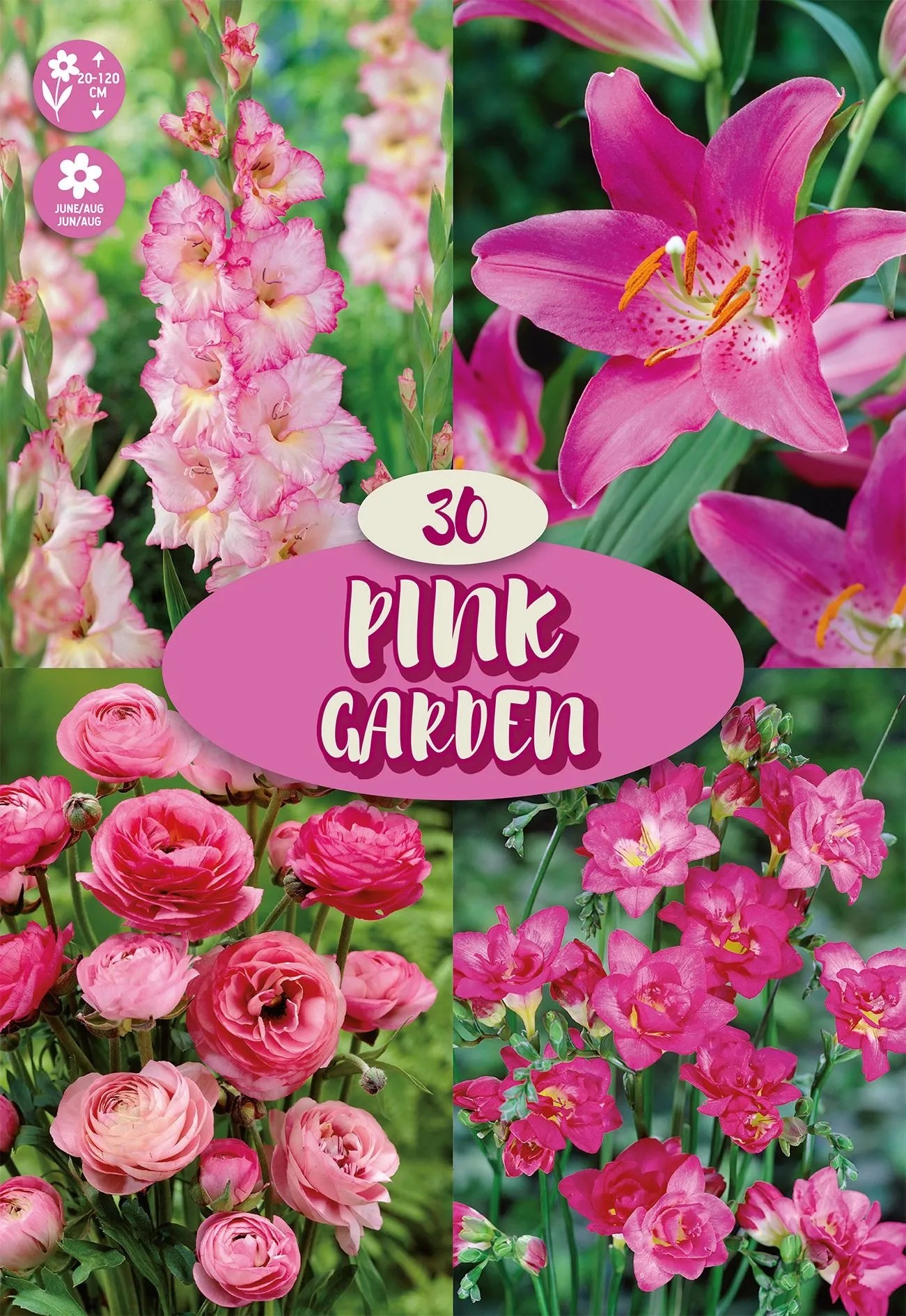 Royal De Ree Holland Kvetinové cibuľky Pink Garden! nakúpiť v OBI