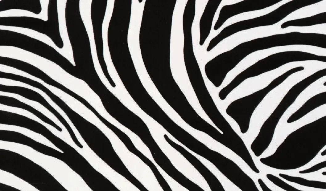 Gekkofix Samolepiaca fólia, zebra, 45 x 200 cm nakúpiť v OBI