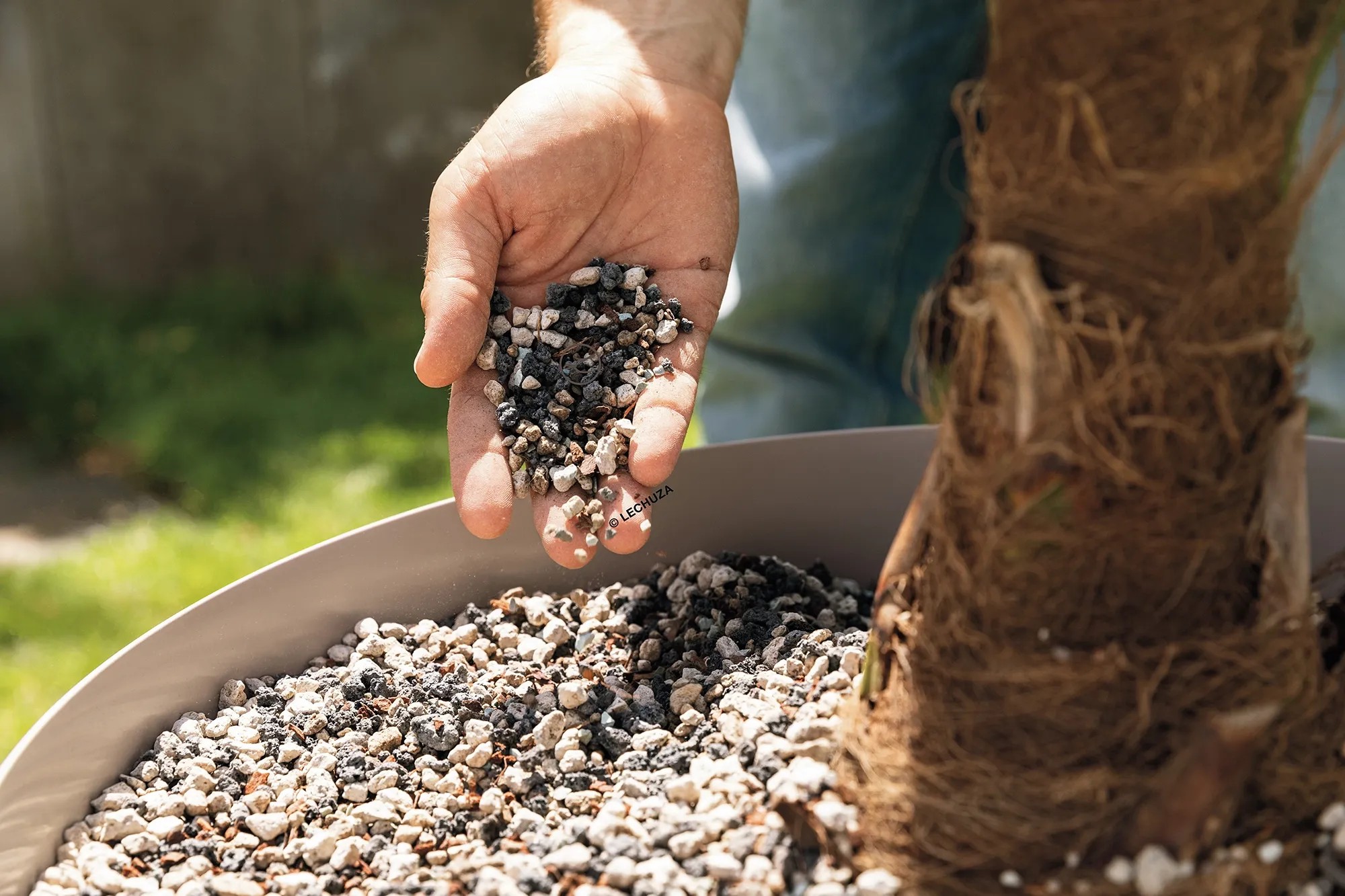 Lechuza Substrát pre palmy PALMPON 12 l nakúpiť v OBI