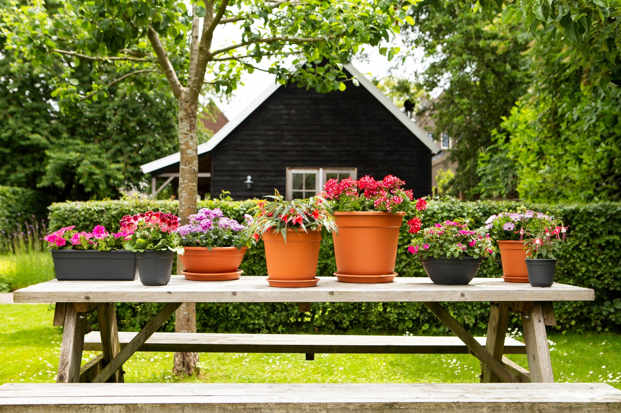 Florus Kvetináč Original, hnedá, pr. 15 cm nakúpiť v OBI