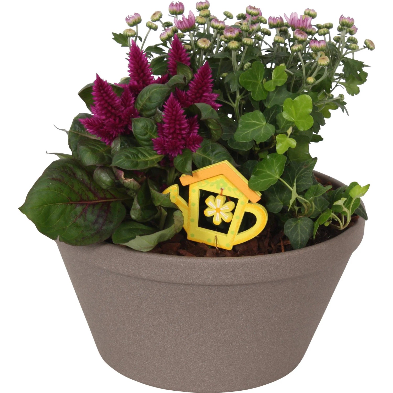 Letný aranžmán v sivej miske priemer cca 23 cm nakúpiť v OBI