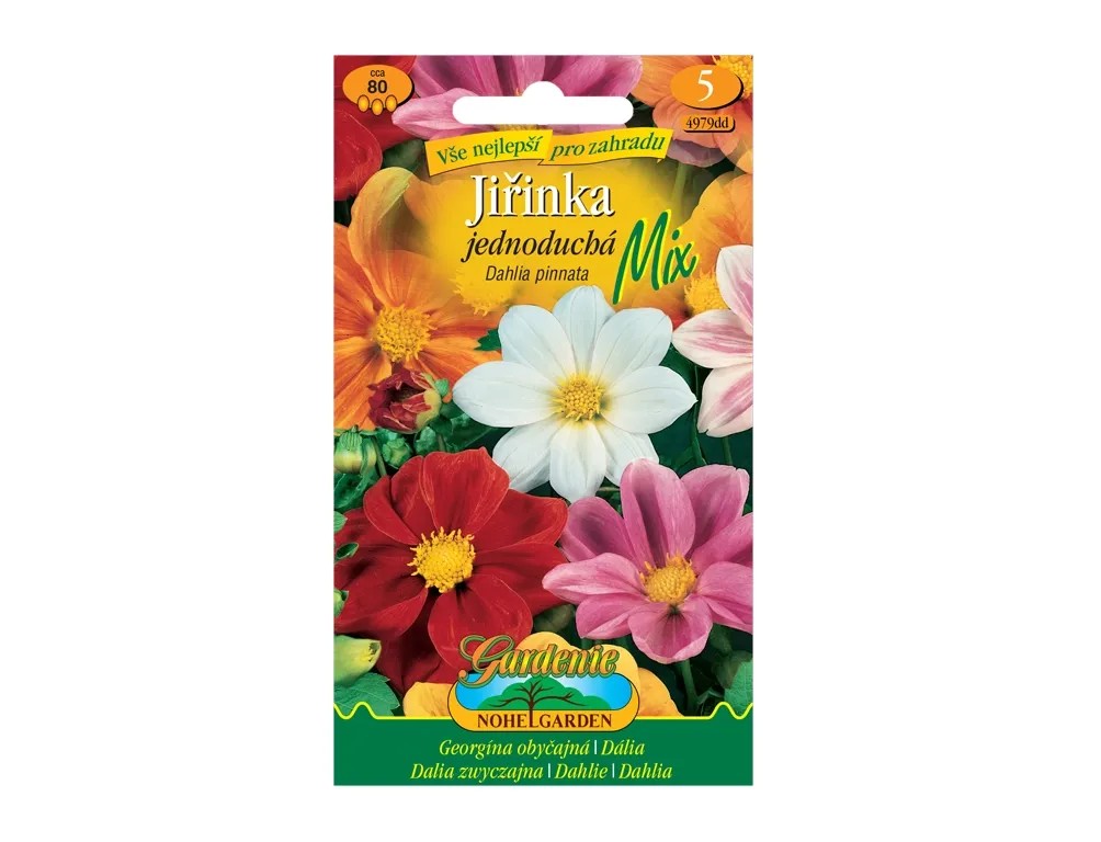 Gardenie Georgína premenlivá zmes nakúpiť v OBI