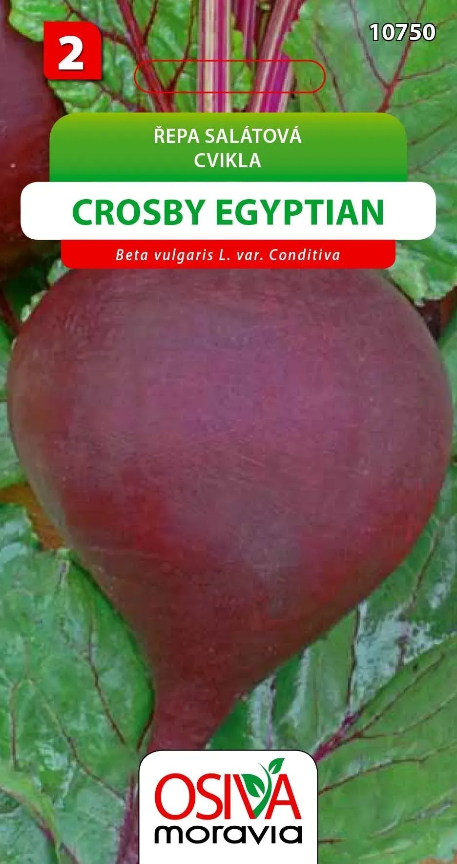 Semienka Cvikla Crosby Egyptian (Beta vulgaris L. var. Conditiva ...