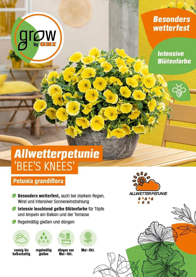 GROW by OBI Petúnia (Petunia hybrida) "Bee's Knees" žltá výška 20-30 cm ...