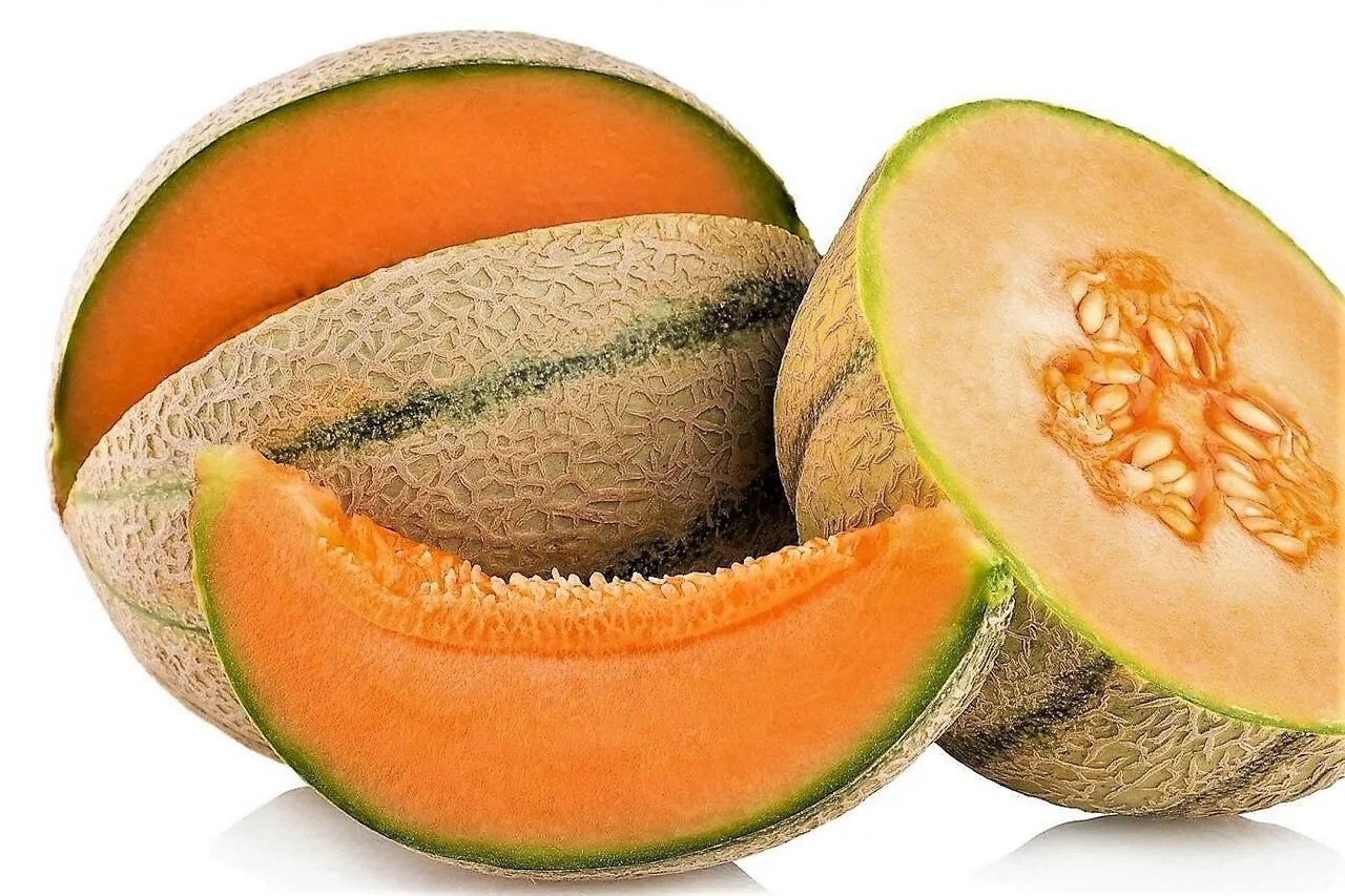 Melón cukrový (Cucumis melo), pr. kv. 12 cm