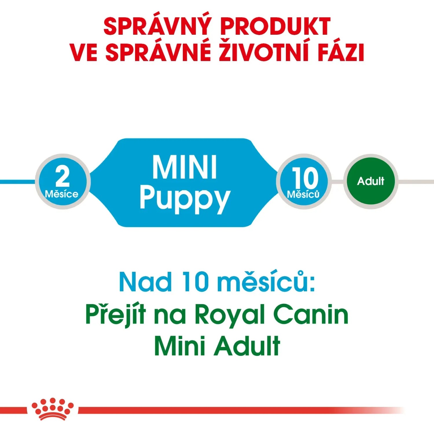 Royal Canin Granule pre psov Mini Puppy 800 g nakúpiť v OBI