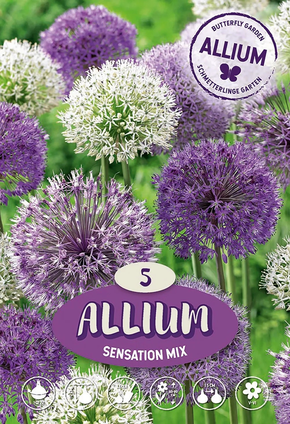 Royal De Ree Holland Kvetinové cibuľky cesnak (Allium) "Sensation mix ...