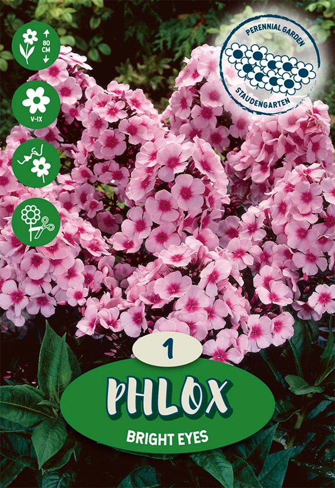 Flox metlinatý Bright Eyes ružový nakúpiť v OBI