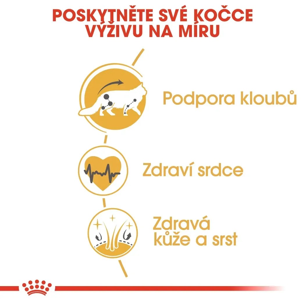 Royal Canin Granule pre mačky Maine Coon Adult 2 kg