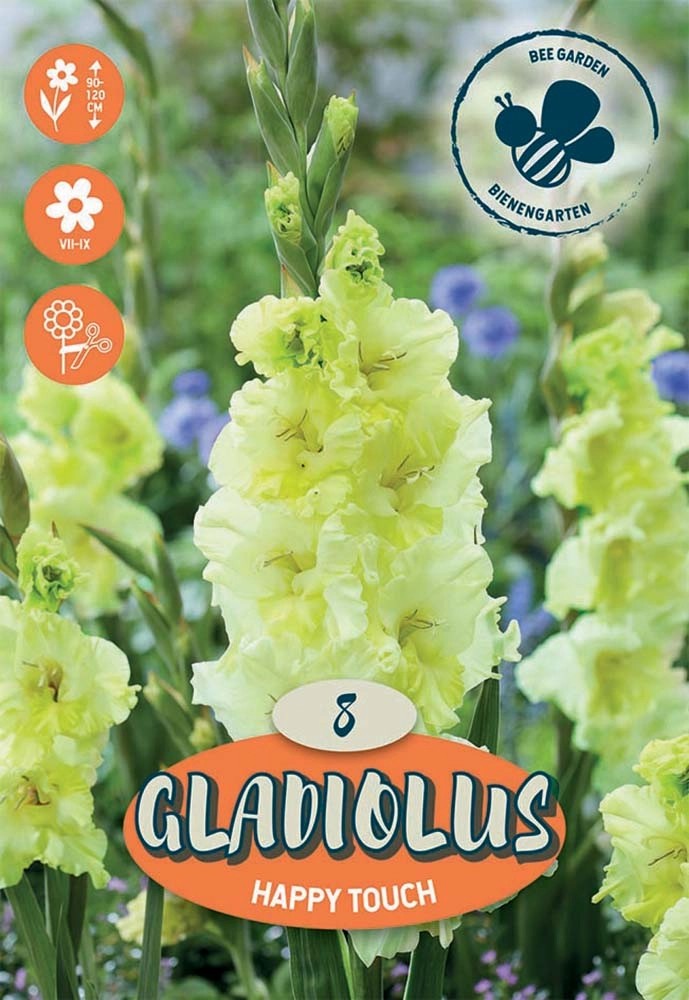 Royal De Ree Holland Kvetinové cibuľky Gladiolus Happy Touch 8 ks ...