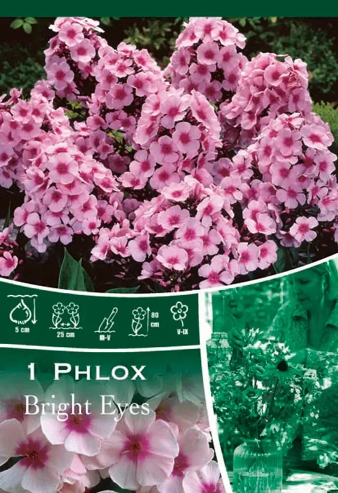 Flox metlinatý Bright Eyes ružový nakúpiť v OBI