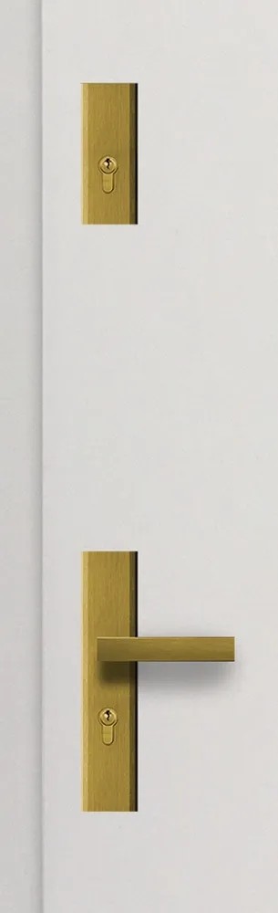 O.K. DOORS Oceľové vchodové dvere TEMIDAS INOX GOLD P55 biele 80 P nakúpiť v OBI