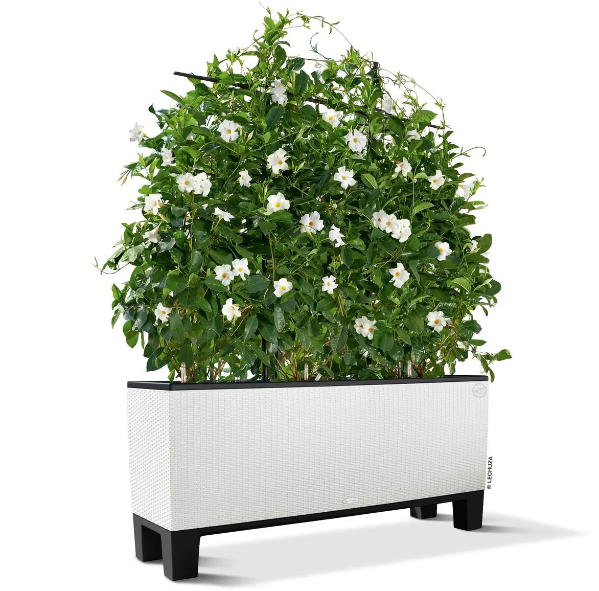 Lechuza Podstavec pre Trio Cottage 40, čierny nakúpiť v OBI