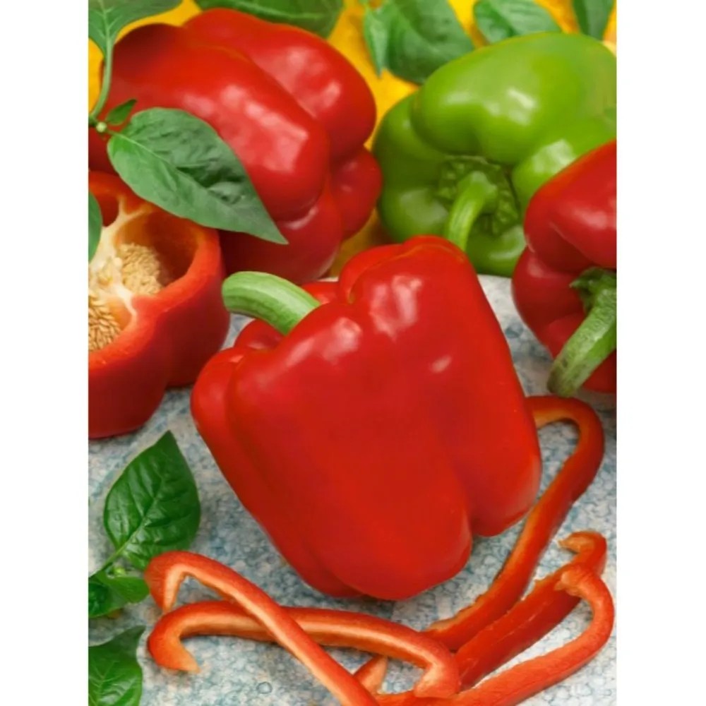 GardenSeed Premium Semienka Paprika Granova