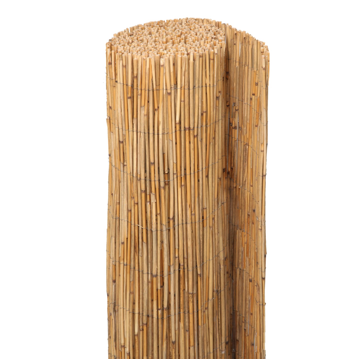 FLORAWORLD Rákosová rohož Comfort Plus 1 x 6 m nakúpiť v OBI