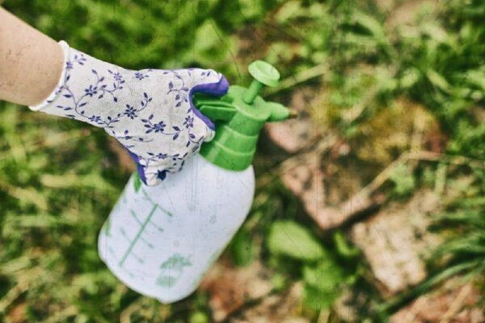 Gebol Dámske záhradné rukavice Flower Lila, veľ. 8/M nakúpiť v OBI