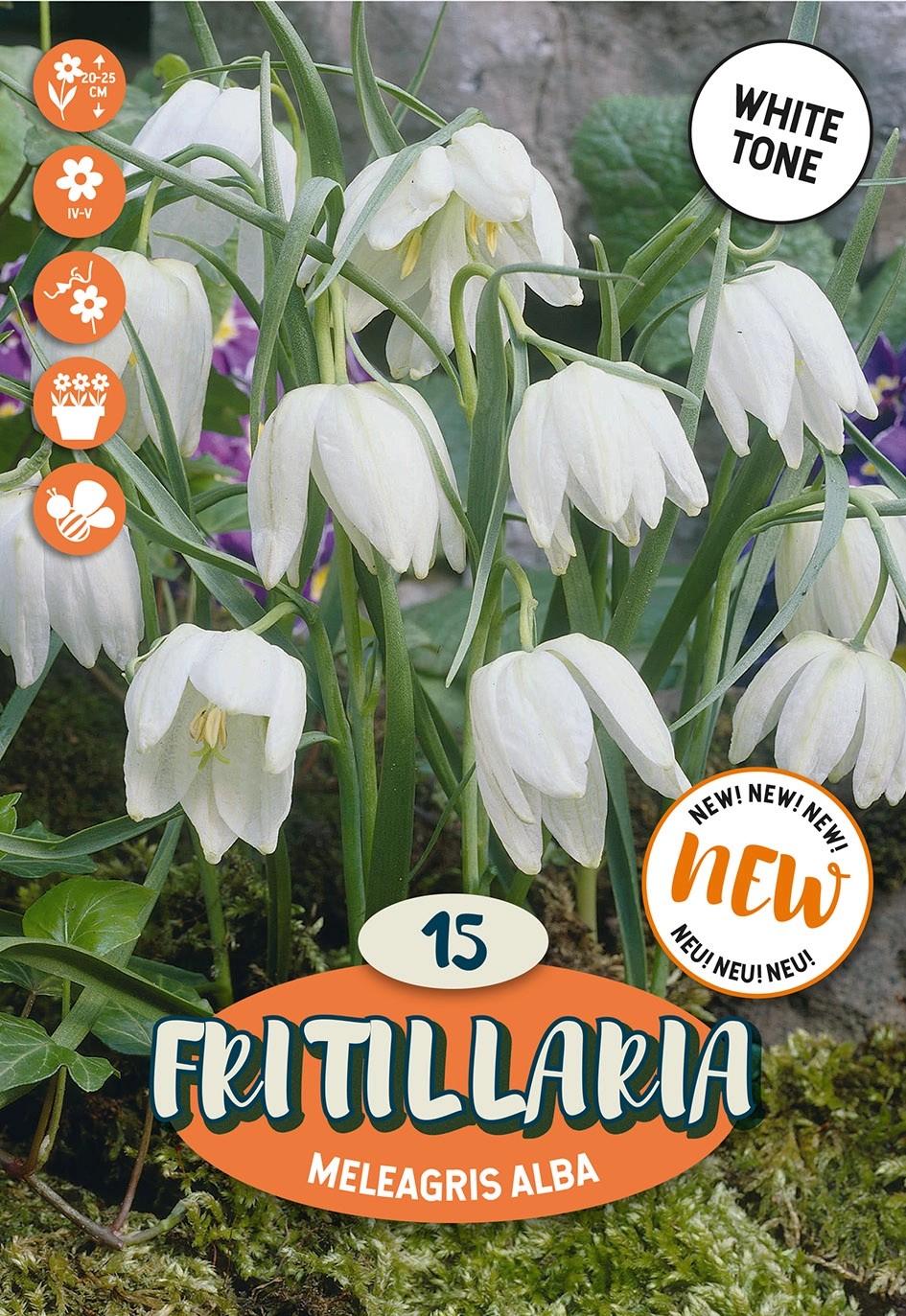 Royal De Ree Holland Kvetinové cibuľky Fritillaria Meleagris Alba 15 ks ...